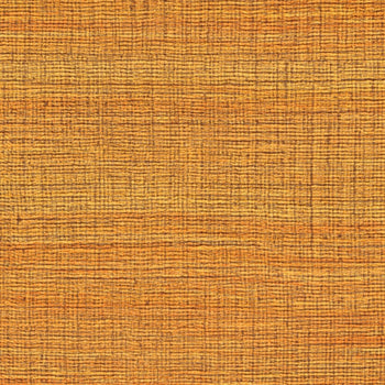 Oranje behang – breng warmte en stijl in je interieur – Kleurmijninterieur